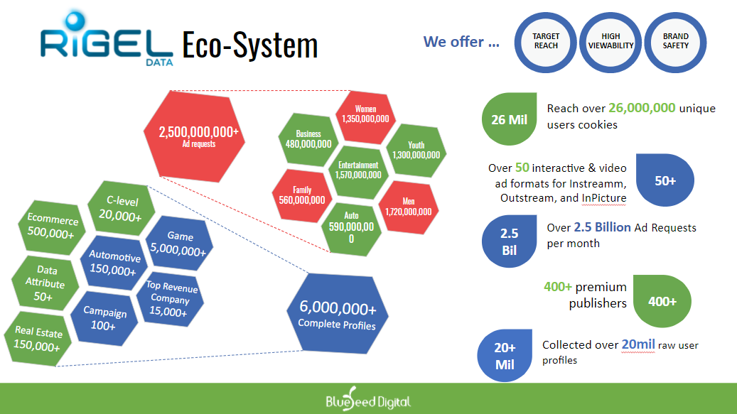 Rigel CDP Creates Premium Data Driven Audiences – Blueseed Group